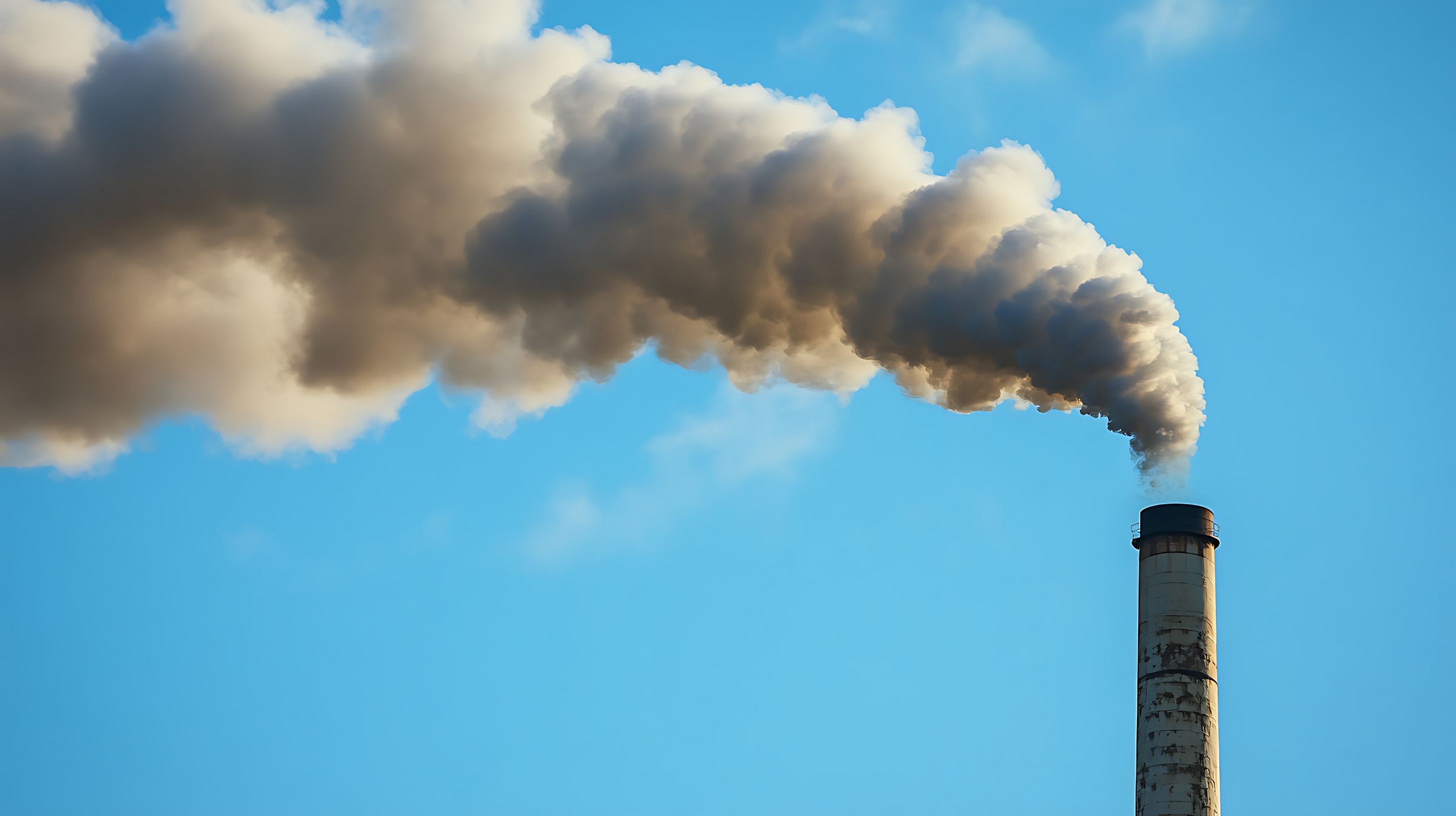 Toxic plume: Did government ‘winner’ turn out to be a loser? - R Street ...