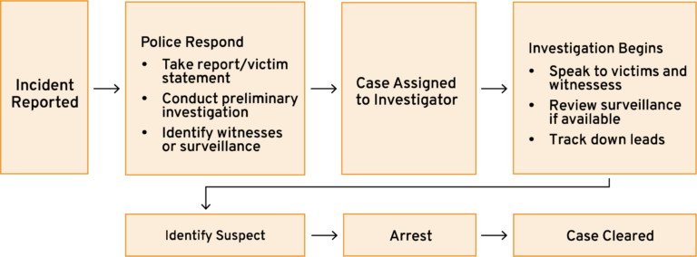 Solving Crime, Protecting Communities: A Blueprint for Safer Streets ...