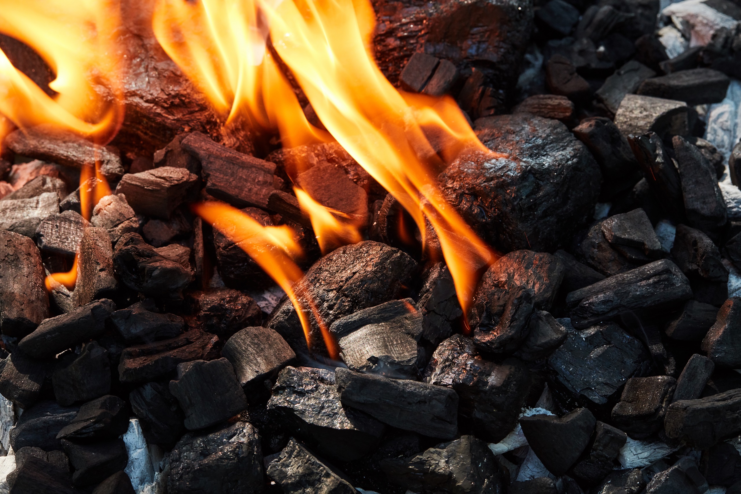 Low-Energy Fridays: Why is coal power struggling in the United States ...